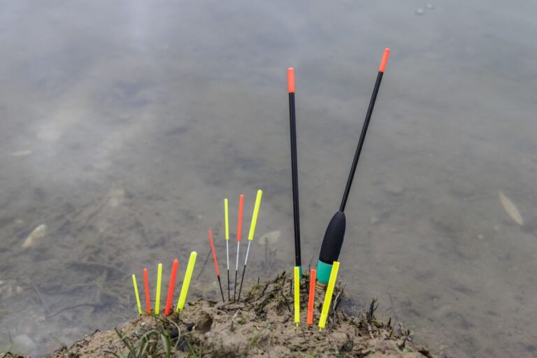 Antennes insert pour wagglers compétition SP W Garbolino - Pêche Expert